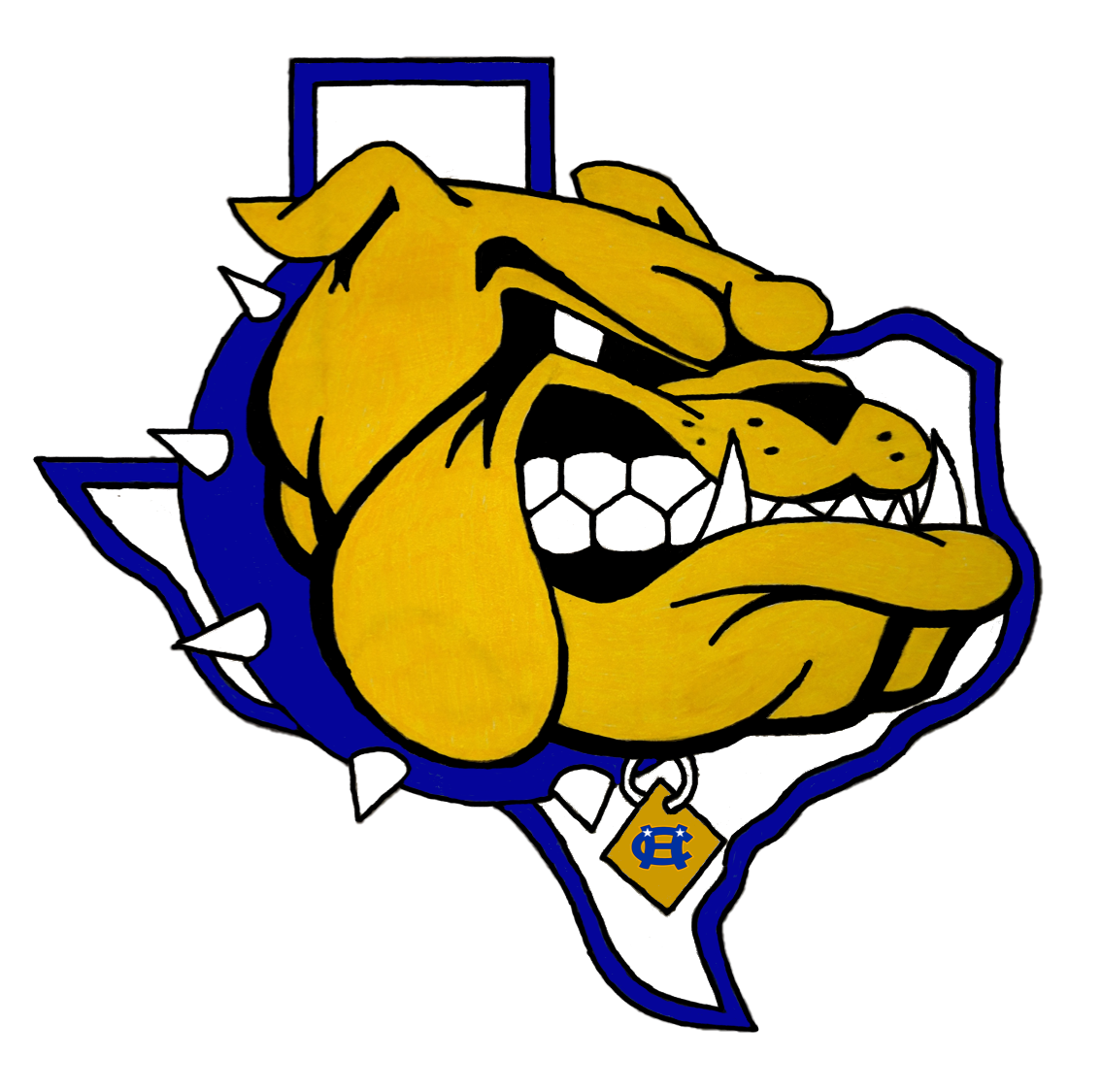 Chapel Hill Bulldogs Football