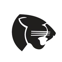 Vista Ridge Panthers Athletics